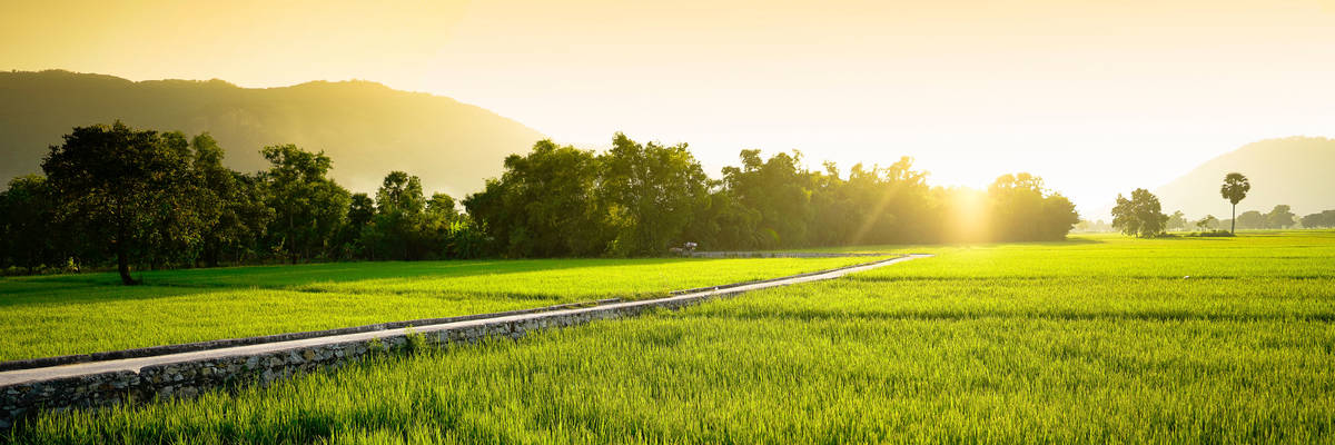 Chau Doc Holidays 2026/2027 | Luxury & Tailor-Made with Wexas Travel