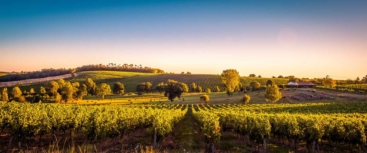 Wexas Travel | Luxury & Tailor-made Holidays