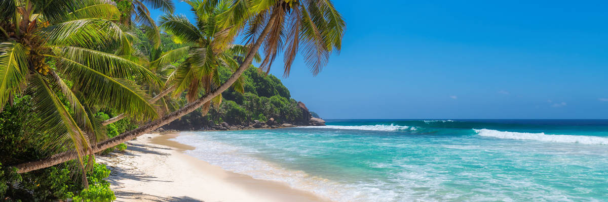 Caribbean Holidays 2025/2026 | Luxury & Tailor-Made with Wexas Travel