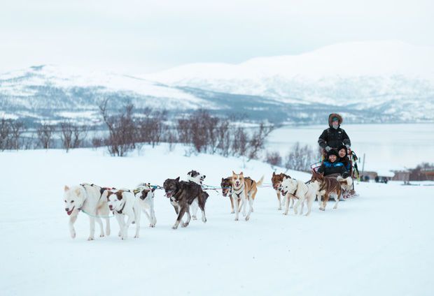 Best things to do in Tromso | Best Served Scandinavia