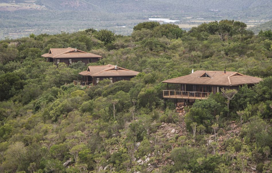 Kariega Game Reserve, Eastern Cape | Holidays 2019/2020 | Luxury ...