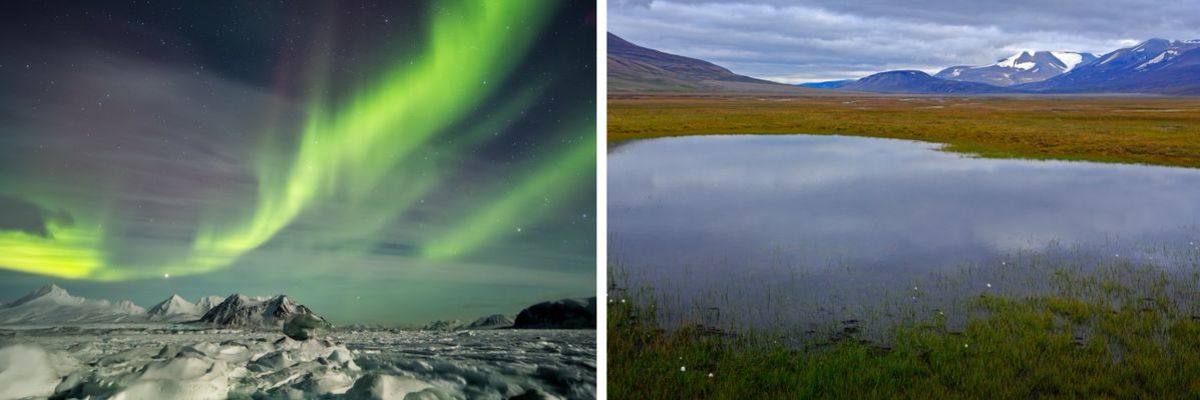 When to visit Svalbard | Best Served Scandinavia