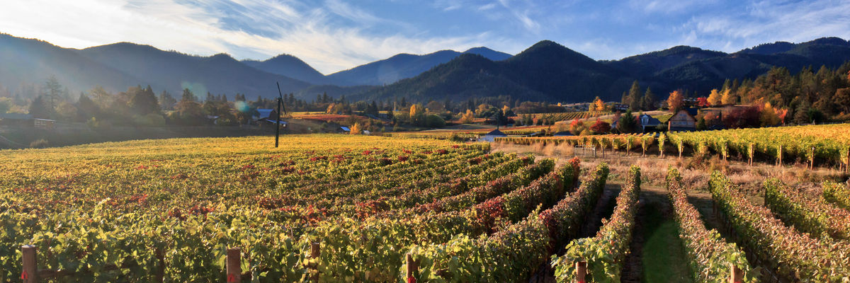 Oregon Holidays 2026/2027 | Luxury & Tailor-Made with Wexas Travel
