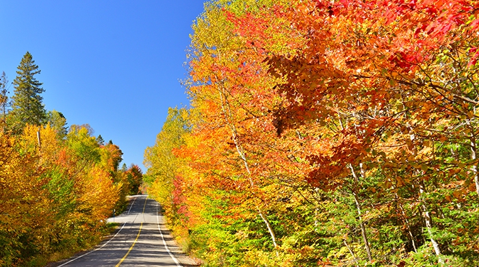 Quebec’s Fall Colours Self-Drive | Holidays 2016/2017 | Wexas Travel